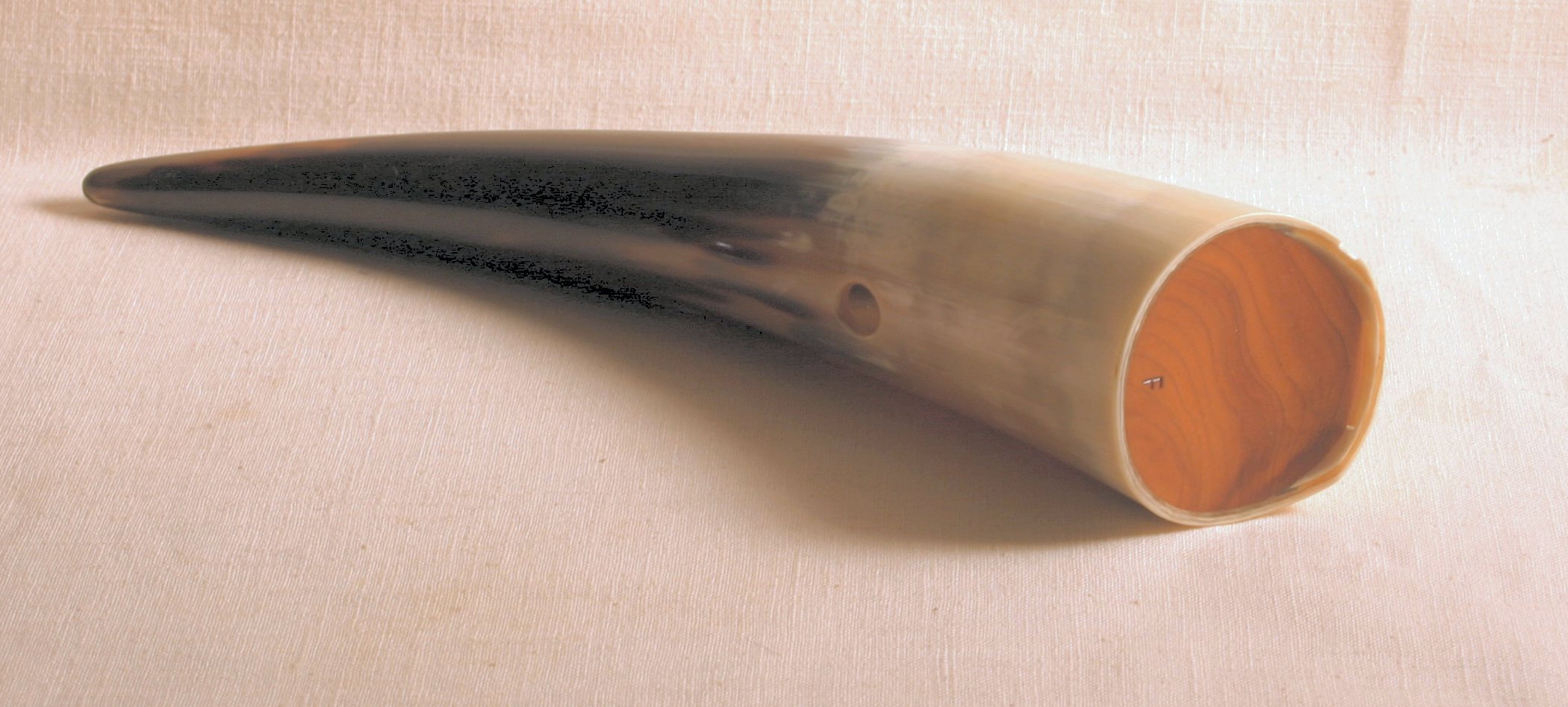 BaltimoreRecorders.org: Information about the Gemshorn